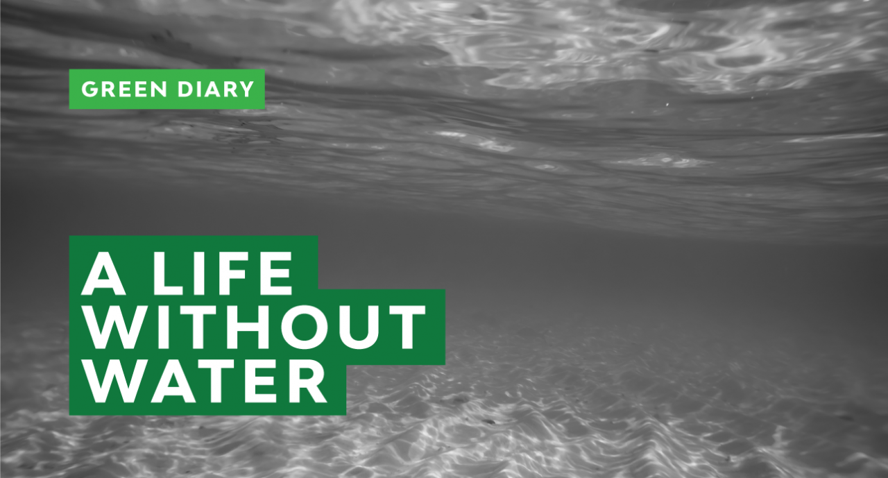 A Life Without Water - Greenbud BD